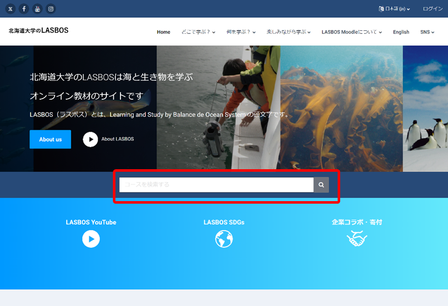 コース: （一般向け）LASBOS Moodleの活用方法 | LASBOS Moodle